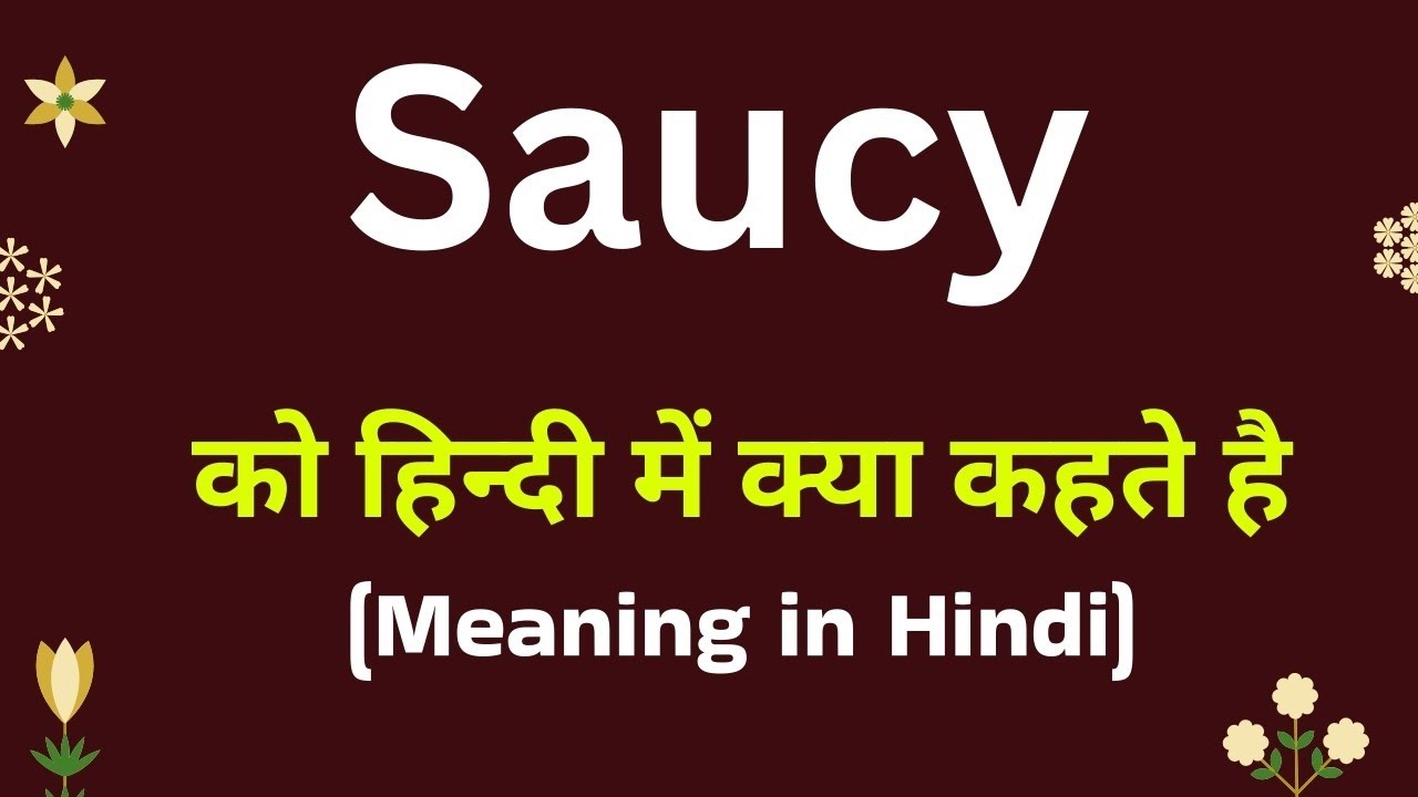 Saucy meaning in hindi || saucy ka matlab kya hota hai || word meaning ...