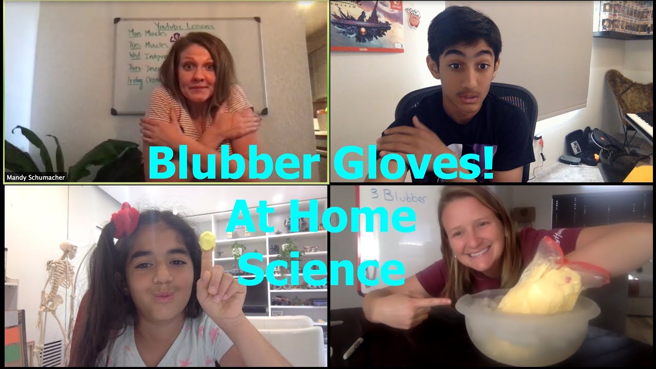 VIRTUAL SCIENCE!!! Arctic Animal Adaptations - Join Us in Making ...