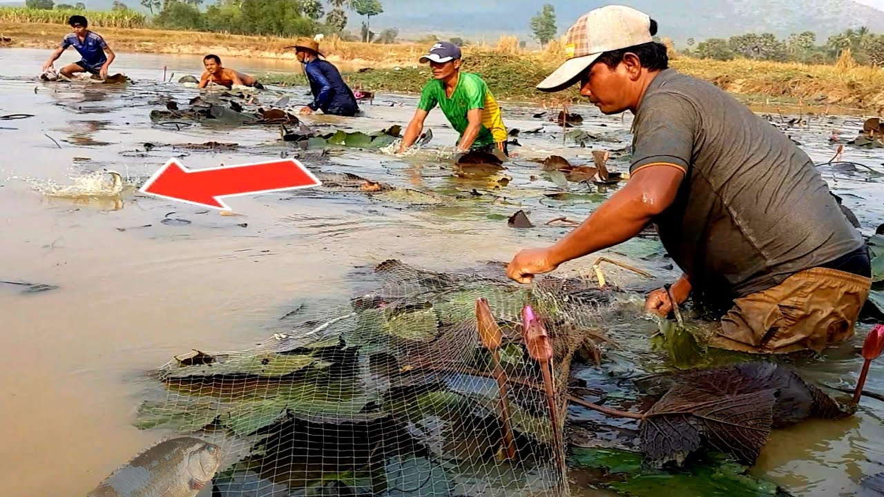 Video fishing in a ditch using netting and casting lots of fish - YouTube