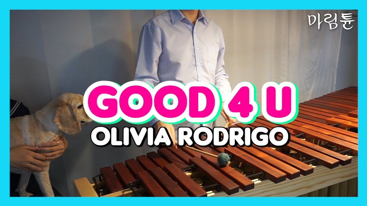 Olivia Rodrigo - good 4 u (Marimba Cover) 가사 Lyrics - YouTube Music