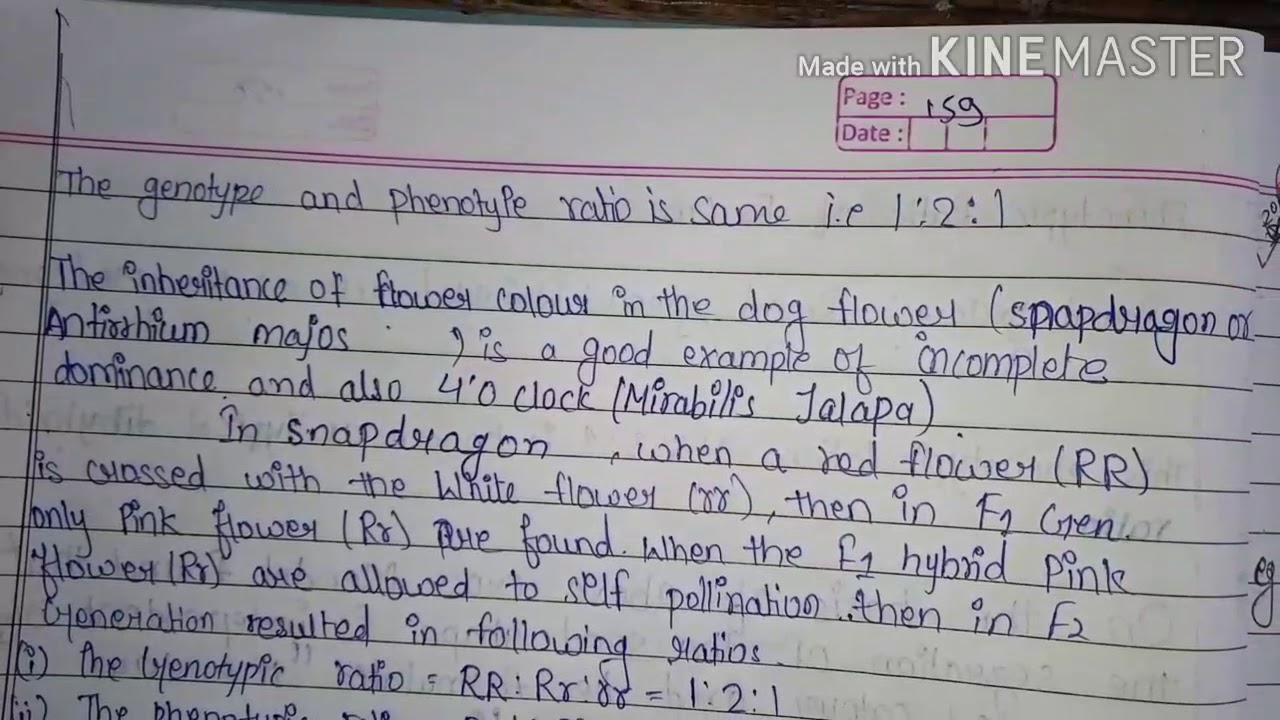 Incomplete dominance lesson 5 class 12 biology handwritten notes - YouTube