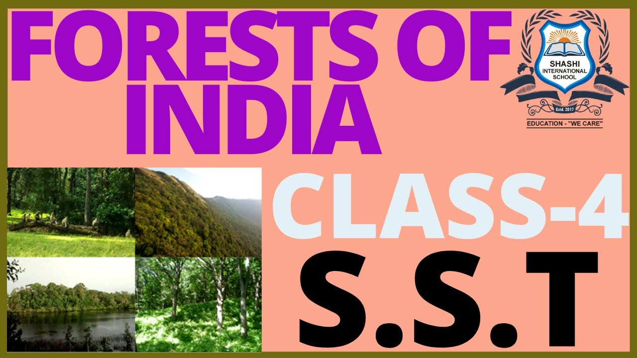 FORESTS OF INDIA-SST-CLASS-4-CBSE |NCERT| Social Studies | Our Forest ...