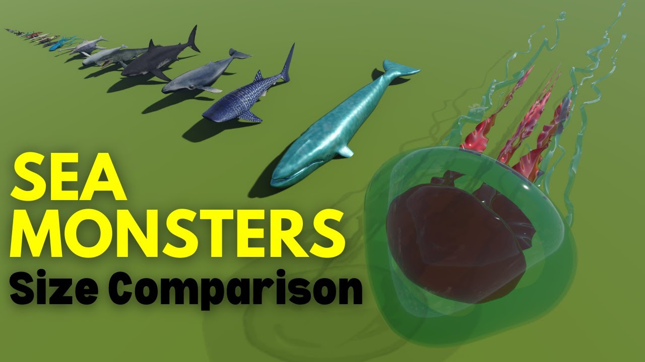 Sea Monsters Size Comparison 🐬🐠🐡🦈🐙🐚🐋🦑 - YouTube