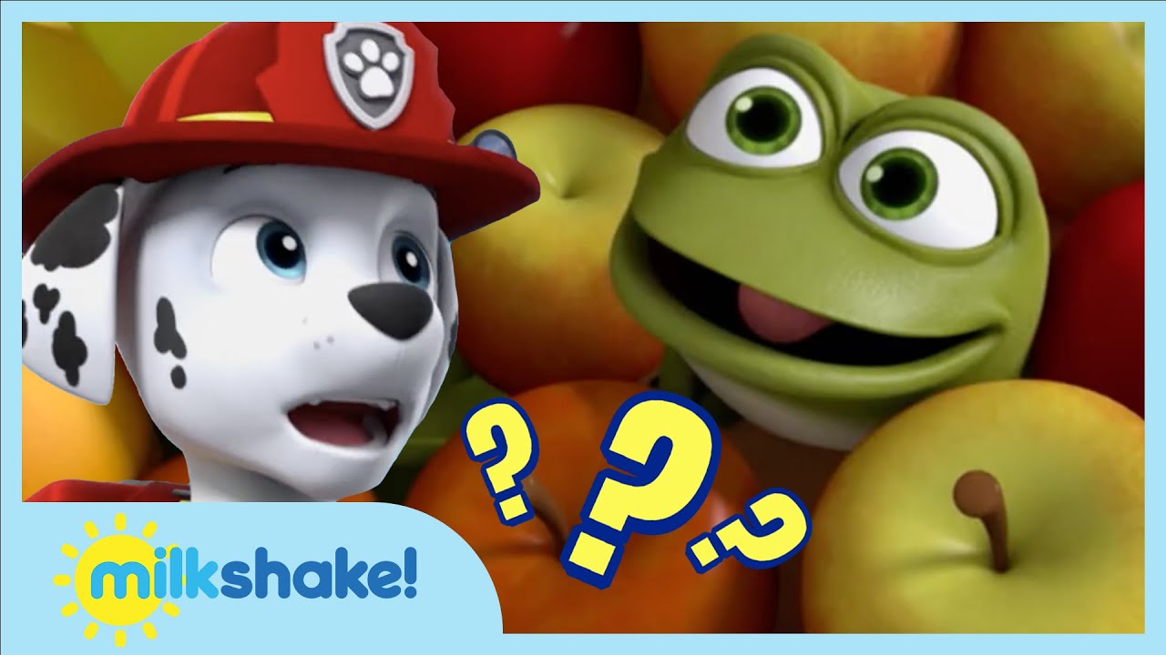 Help PAW Patrol Find the Roaming Reptiles! 🐍🐢 | PAWsome Puzzles 🧩 ...