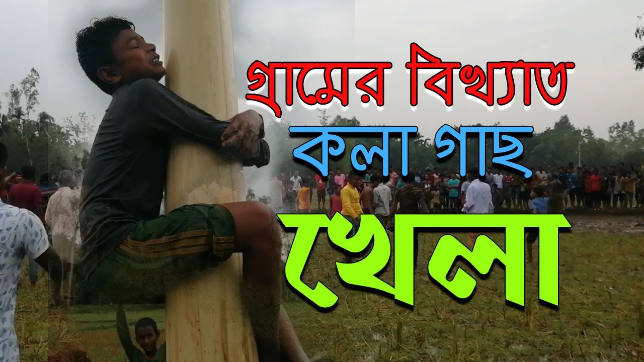অদ্ভূত মজার কলা গাছ খেলা-Oil-coated banana tree game in village ...