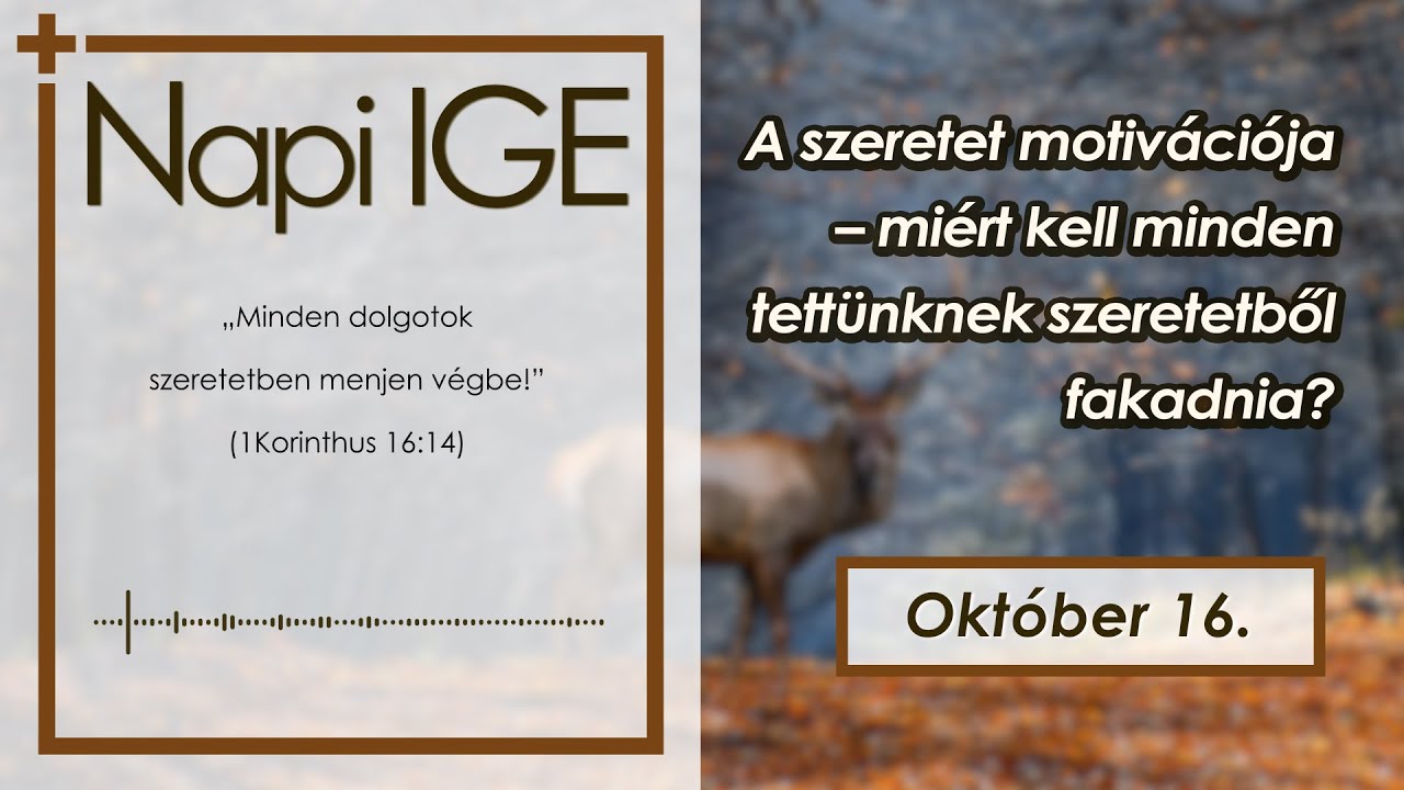 Napi IGE - A szeretet motivációja – miért kell minden tettünknek ...