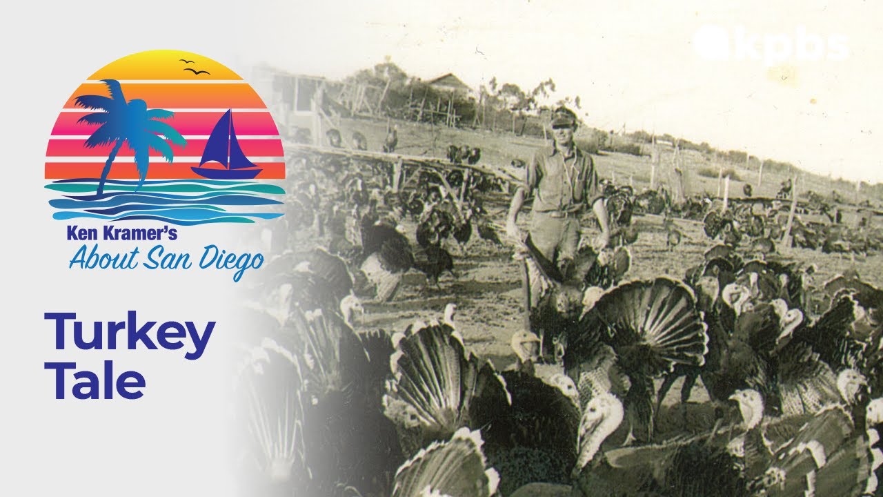 About San Diego: Turkey Tale - YouTube
