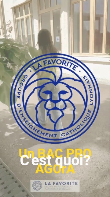 Un BAC PRO AGOrA, c'est quoi ? Lycée Professionnel La Favorite LYON ...