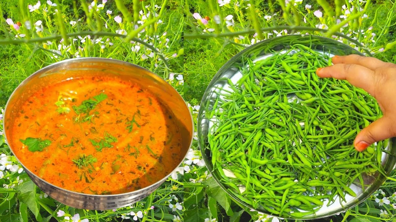 गांव में देशी तरीके से बनी राजस्थानी मोगरी (सोगरी) की सब्जी जो खाने का ...