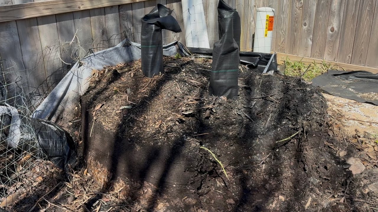 Best Compost EVER, 1 Year Results Bioreactor - YouTube