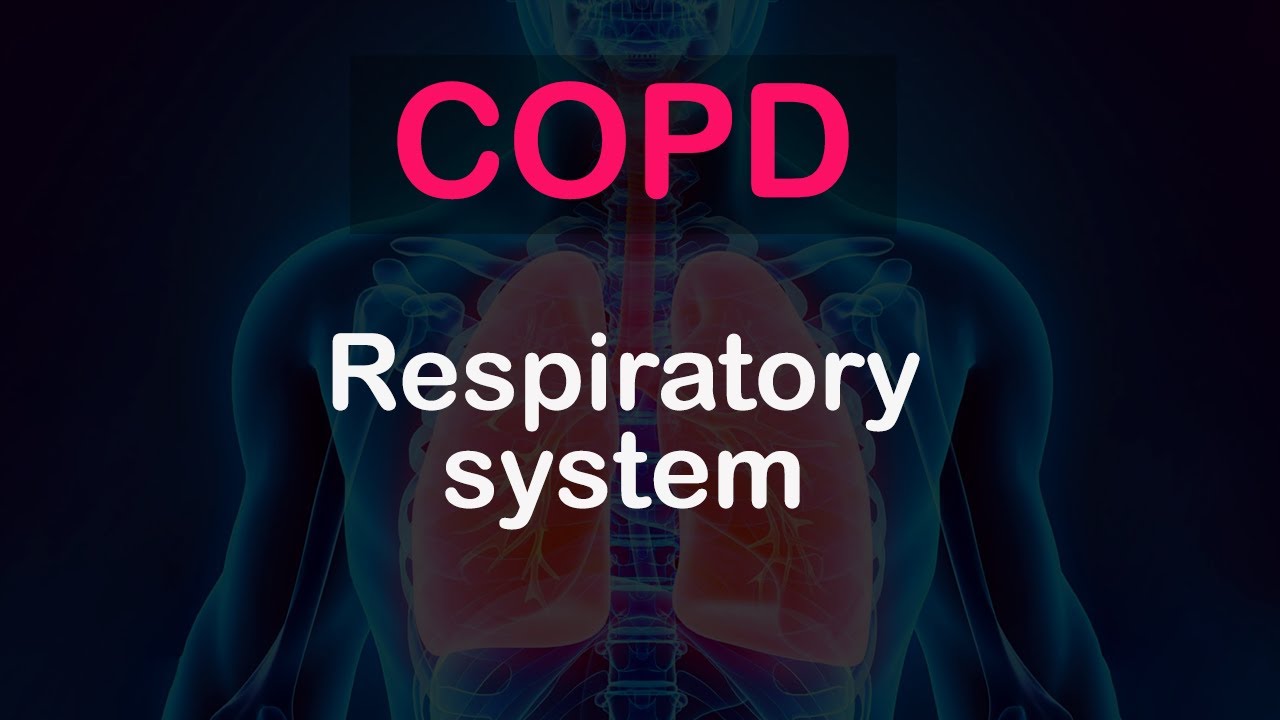 Chest: Chronic obstructive pulmonary diseases (COPD) - YouTube