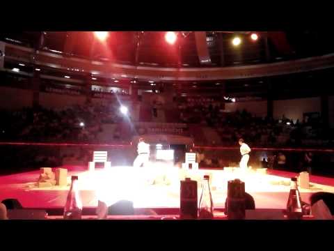 EC2014 Openning Ceremony_European Kyokushin/Shinkyoukishin Championship_May 30-31,Baku, Azerbaijan