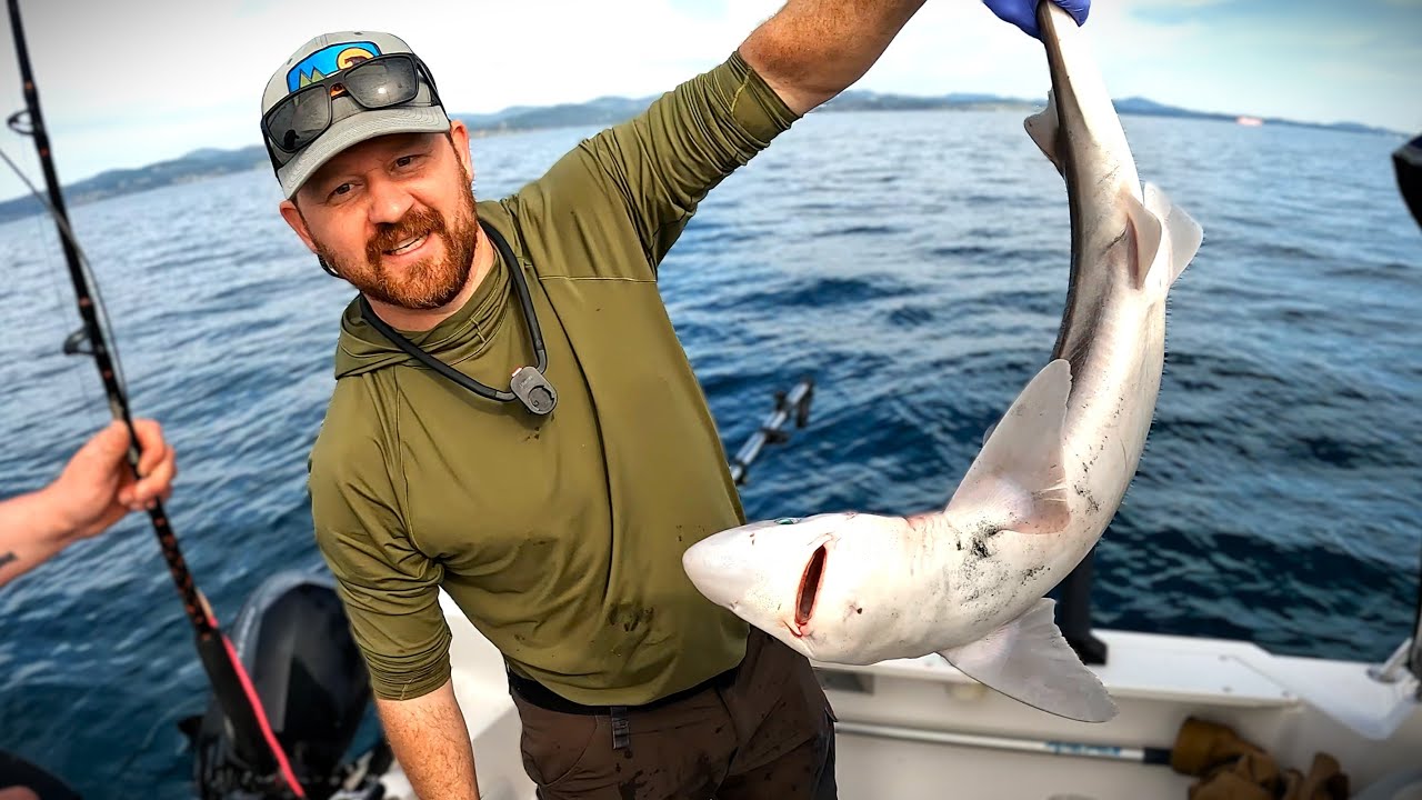 Bottom Fishing for Halibut and Getting Robbed by Sharks! | Vancouver ...
