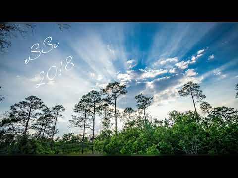 Sevə bilməz ( V.Y )🎵🎵©️ ER+ ( sunay 1996 std )