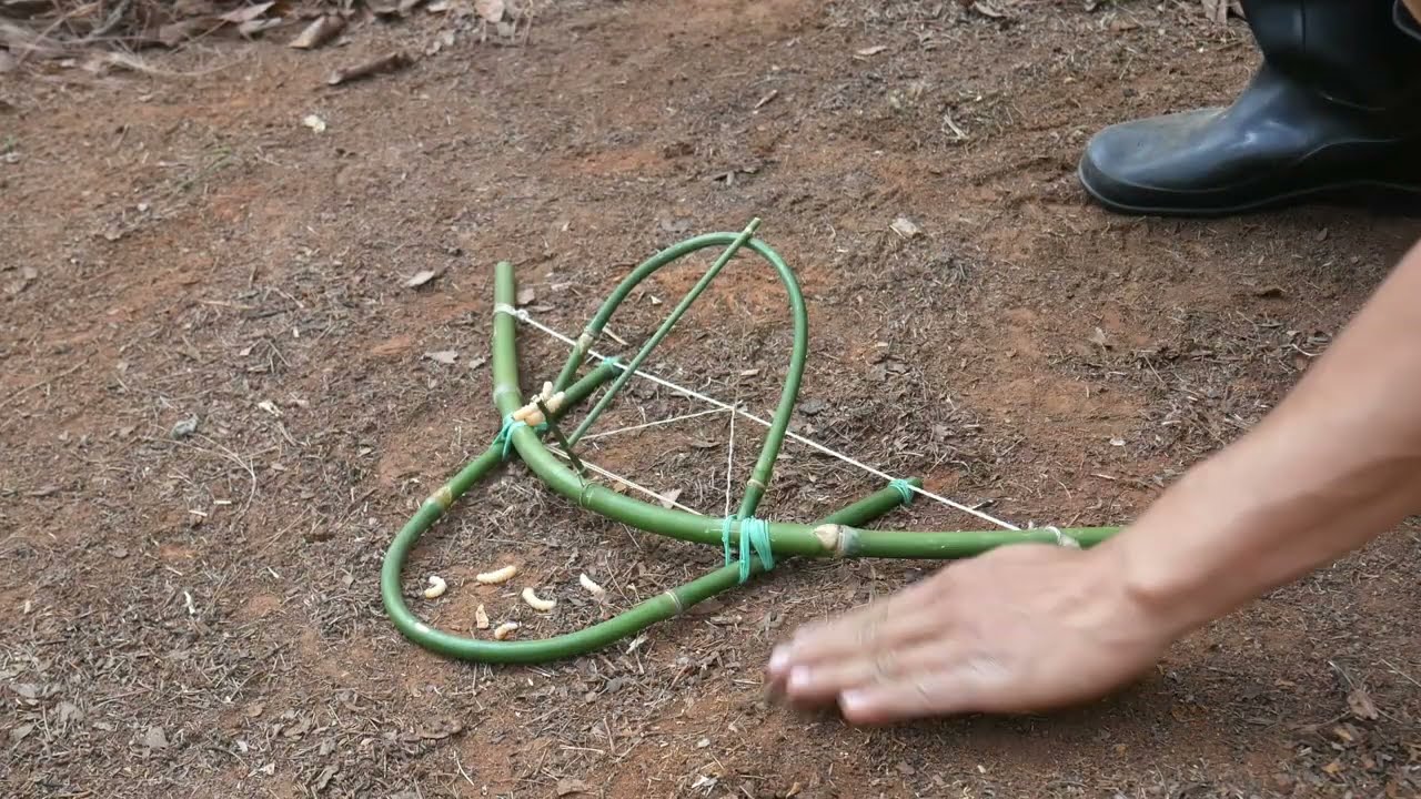 Creative Unique Wild Chicken Trap Using Bamboo Stick to Catch Wild ...