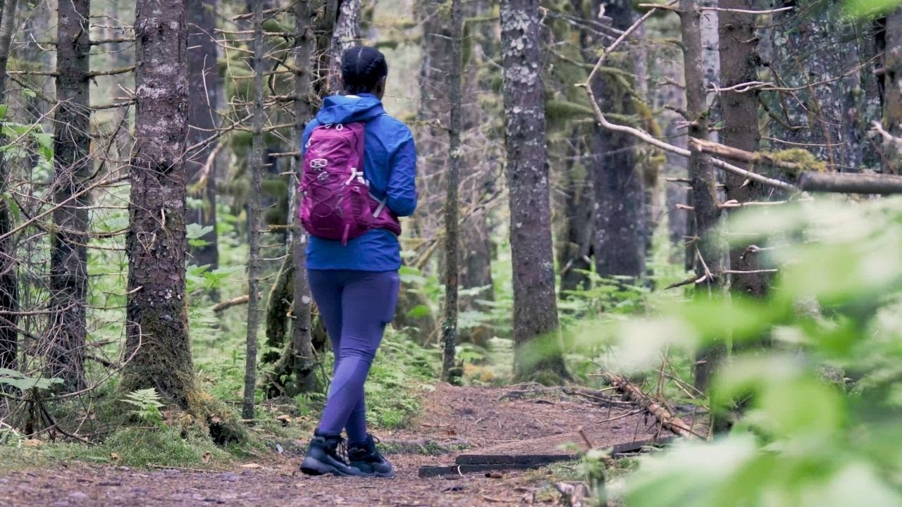 Hiking Tonsina Creek Trail | Seward Alaska | We found a Cabin! - YouTube