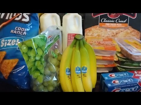 Kroger Haul (plus Tiny Dollar Tree Haul) - YouTube