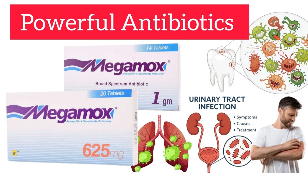 Megamox Tablet Full Detail | Uses, Dose, Side Effects & Precautions # ...