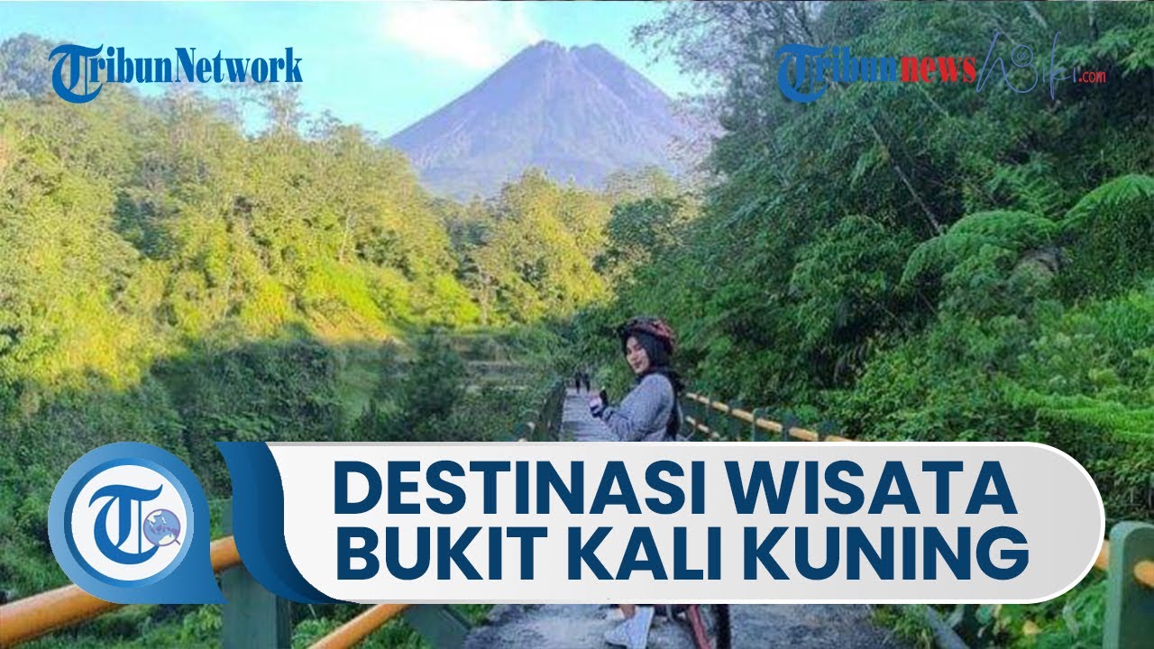 Destinasi Wisata Alam Bukit Kali Kuning, Wisata Alam yang Terletak di ...