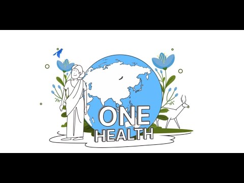 One Health Initiative I UNDP I Magic Spangle Studios - YouTube