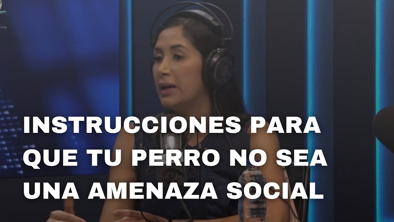 Instrucciones para que tu perro no sea una amenaza social - RadioFit ...