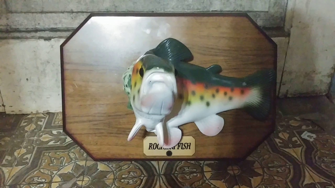 Rocking fish (trout version) - YouTube