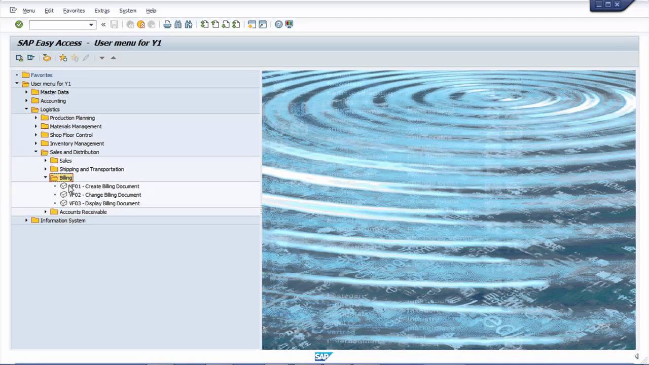 SAP Tutorial Videos VF01 - YouTube