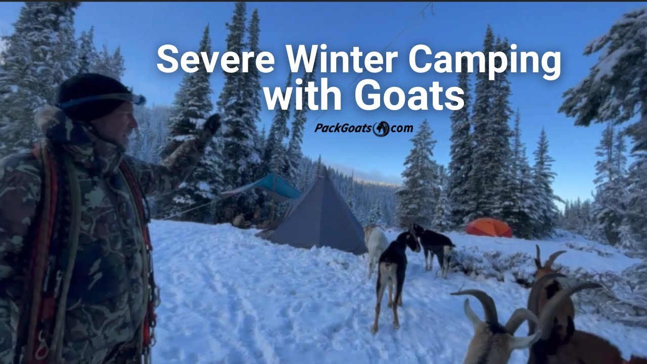 Severe Winter Camping and Taking Care of Goats - YouTube
