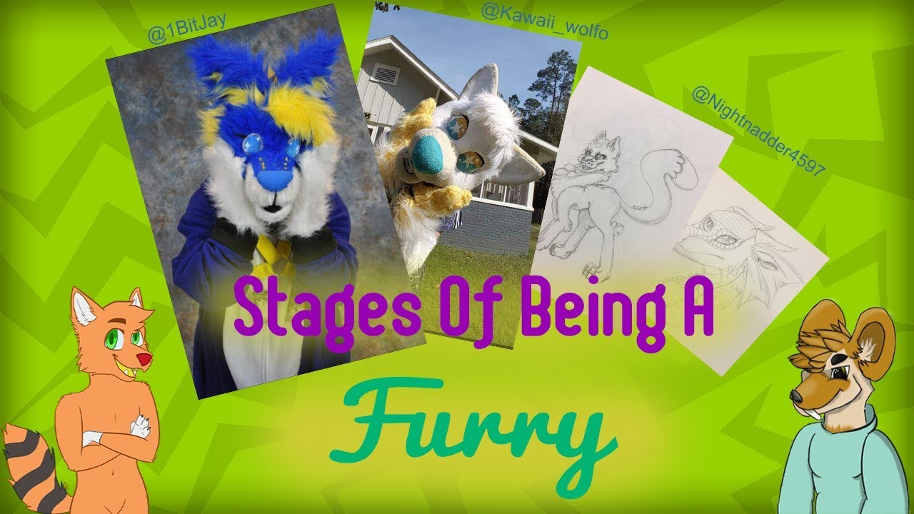 Stages of Being A Furry Ft. SneekyCreeper - YouTube