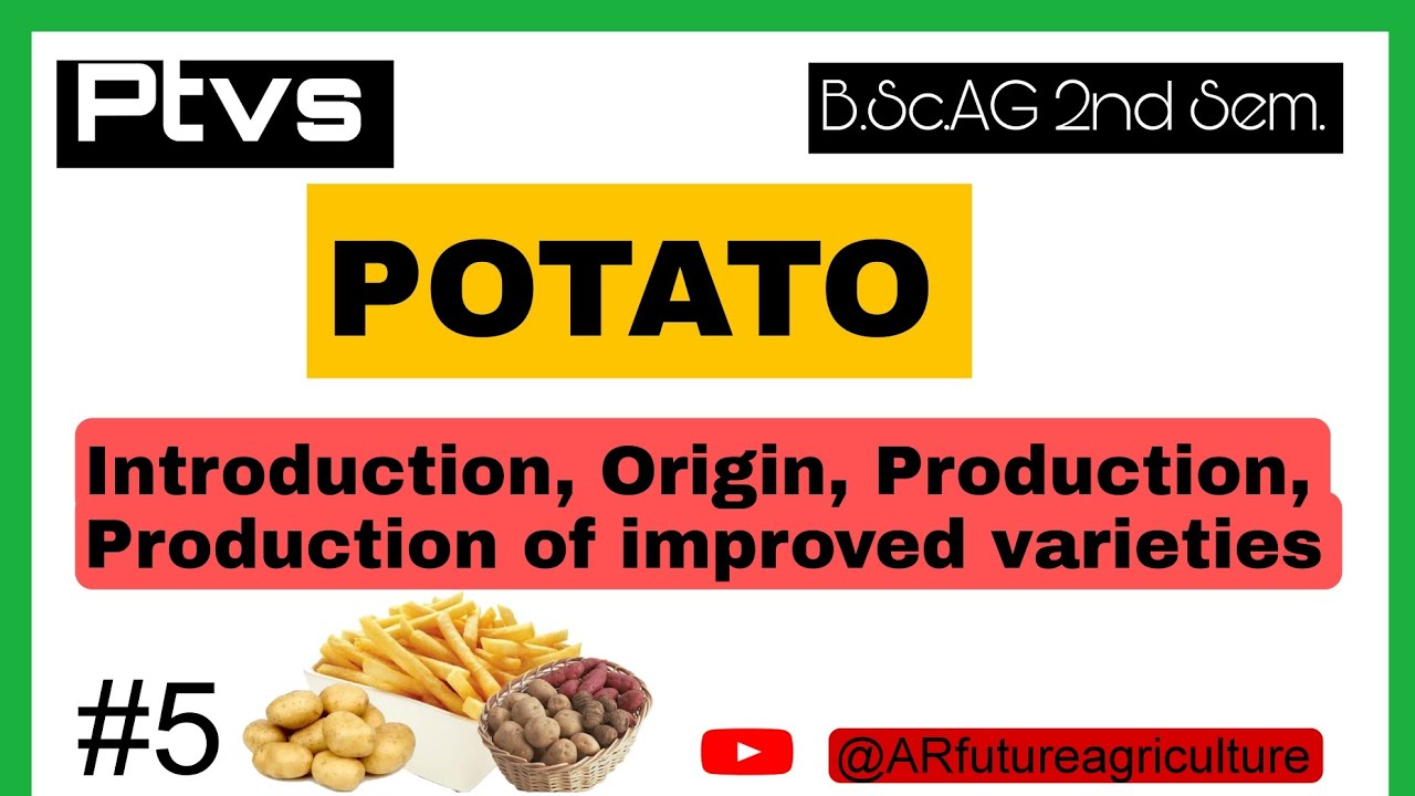Introduction of potato / Origin of potato / Production of potato ...