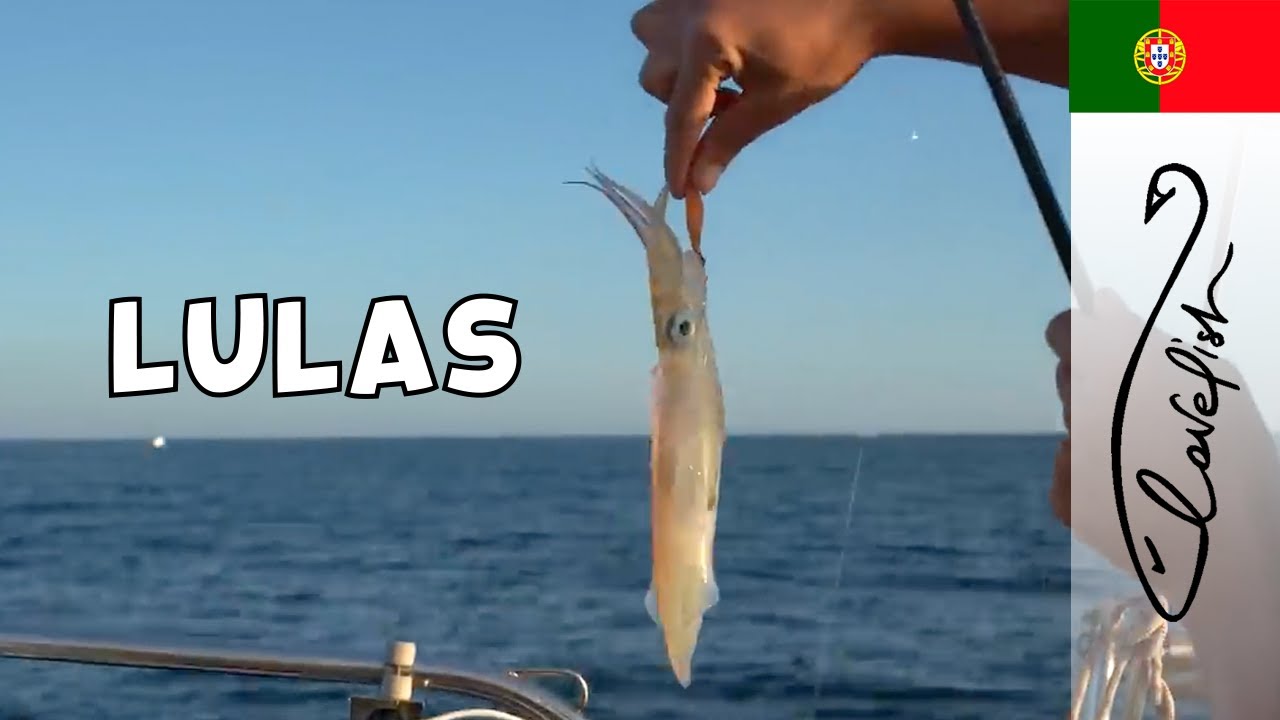 Uma Montagem Super Simples para Pegar Lulas! Tutorial de Pesca. - YouTube