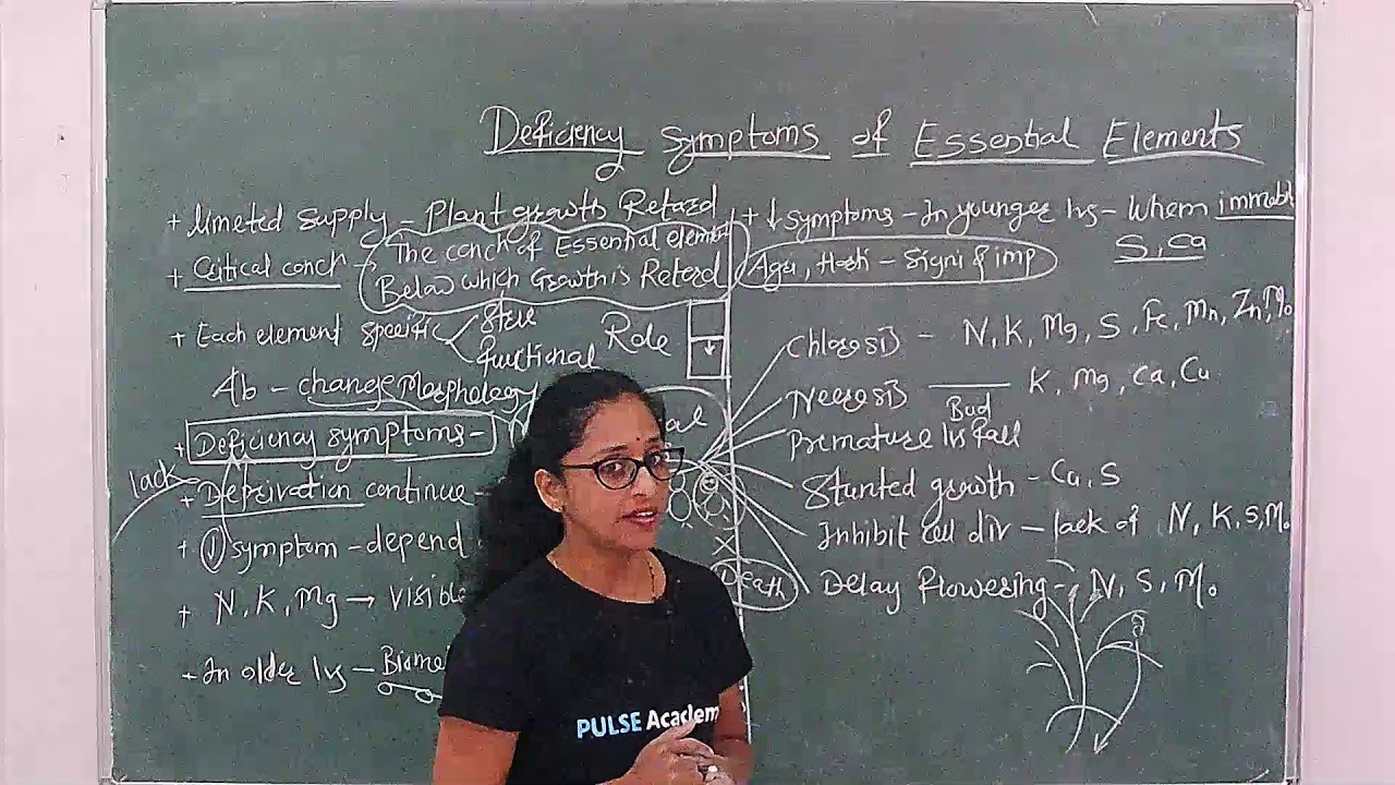 Lec 3 Class 11 Mineral Nutrition Deficiency symptoms of Essential ...