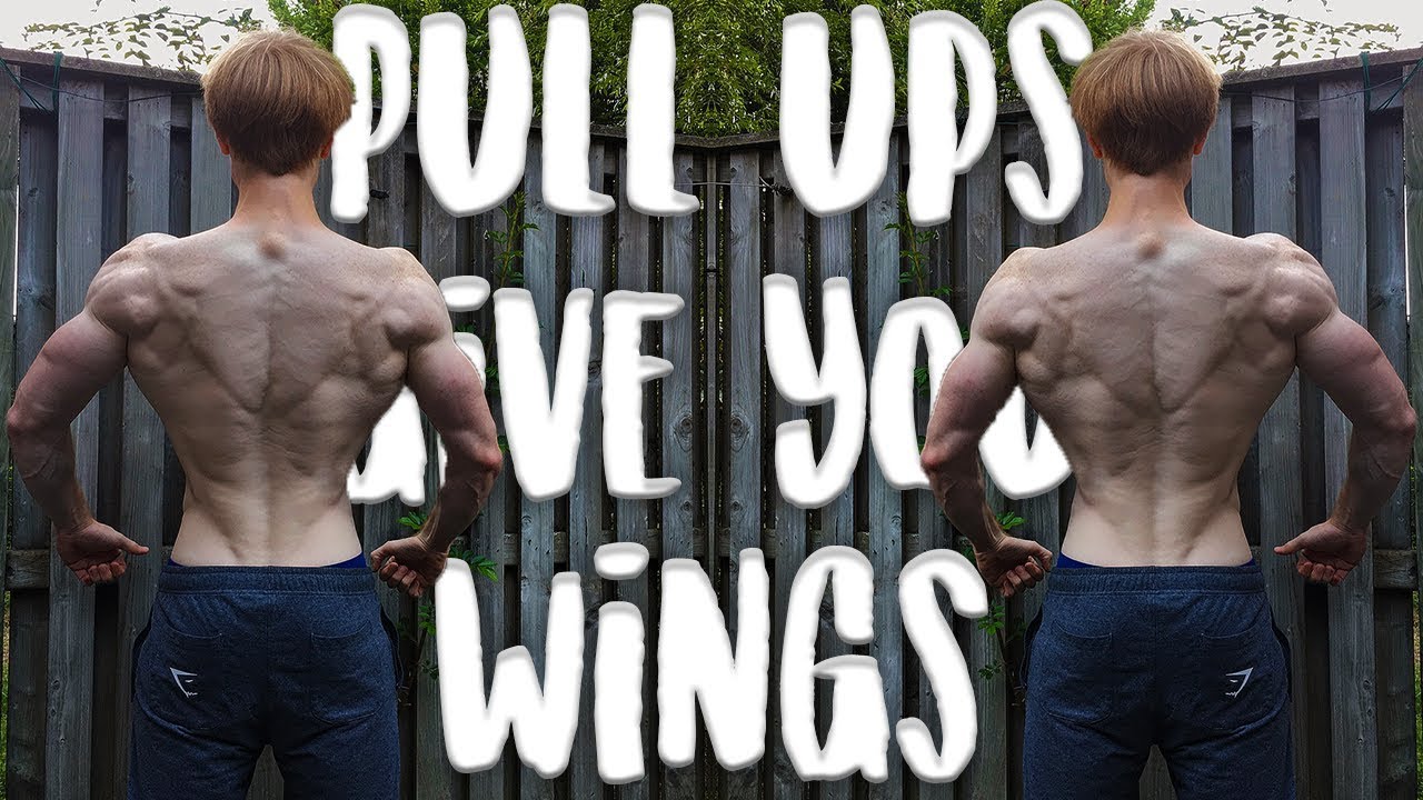 HOW TO GET A WIDER BACK | WIDTH FOCUSED PULL WORKOUT - YouTube