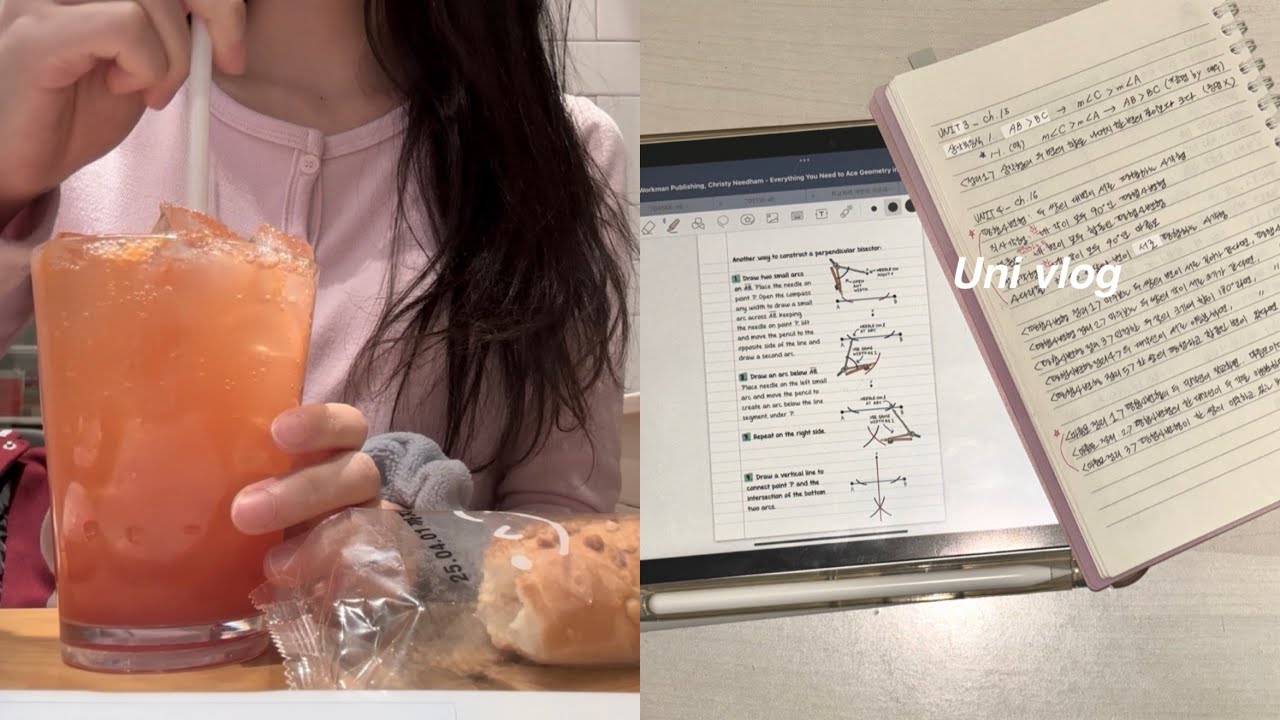 Vlog 전공 시험기간 브이로그ㅣ유튜브를 시작한 이유ㅣ24시간 브이로그 찍으려다가 일주일 영상 찍음ㅣ벚꽃 구경ㅣ중간고사 공부ㅣ