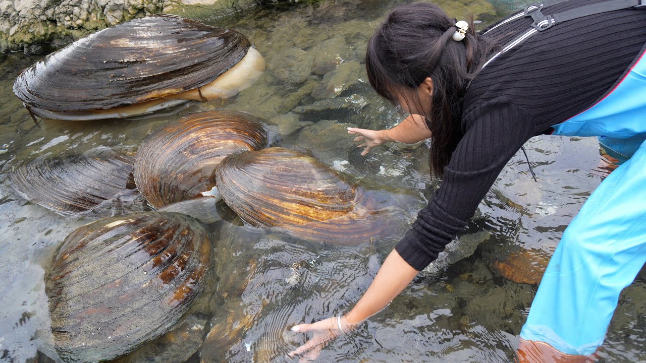 🔥🔥 A Girl Unveils Giant Clams Filled with Rare Gems in a Mysterious ...