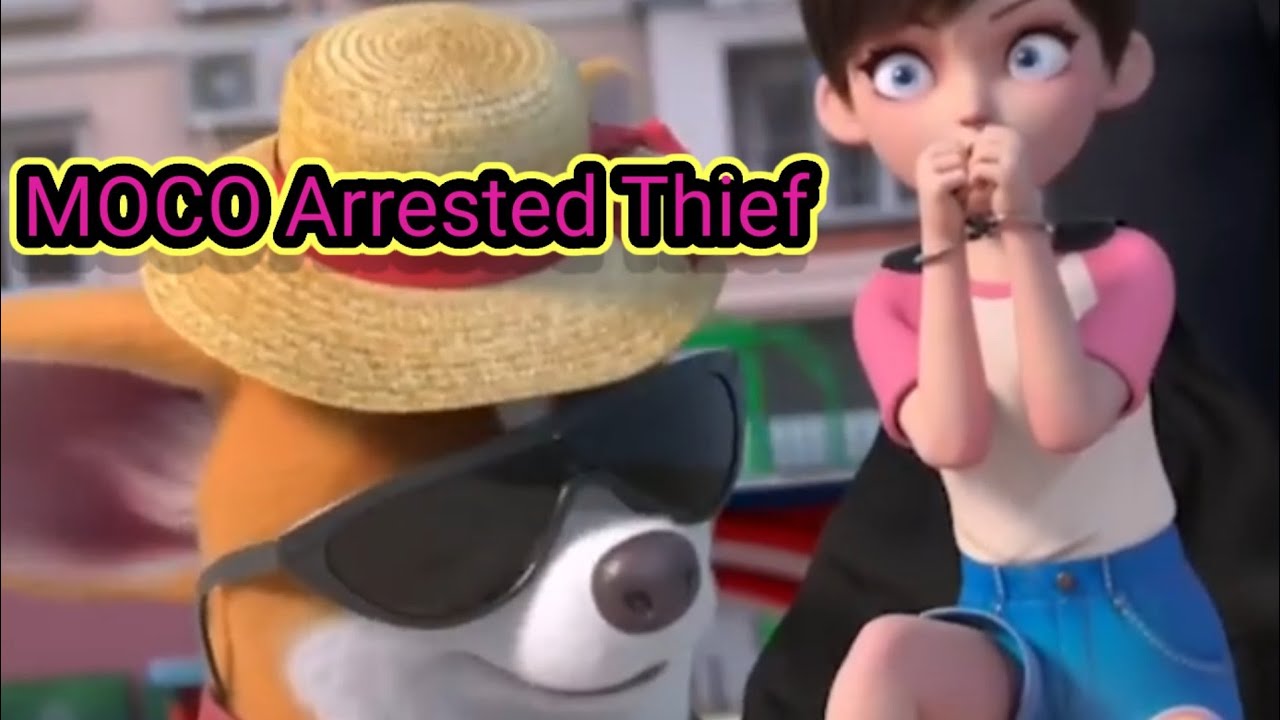 MoCo Dog | Funny cartoons Dogs | laughters - YouTube