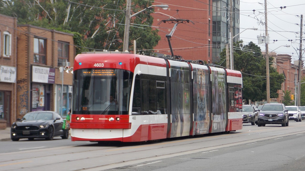 TTC Action during June 2024 - YouTube