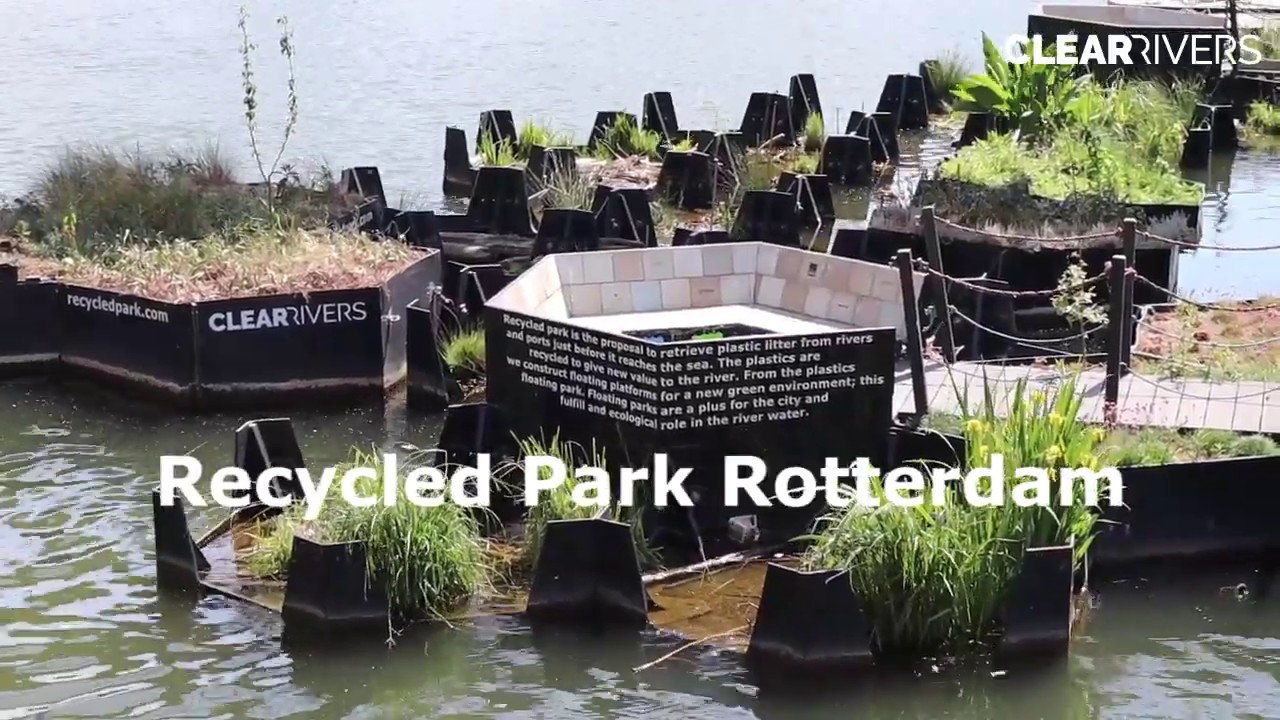 Recycled Park flourishing; Glimpse No. 6 - YouTube
