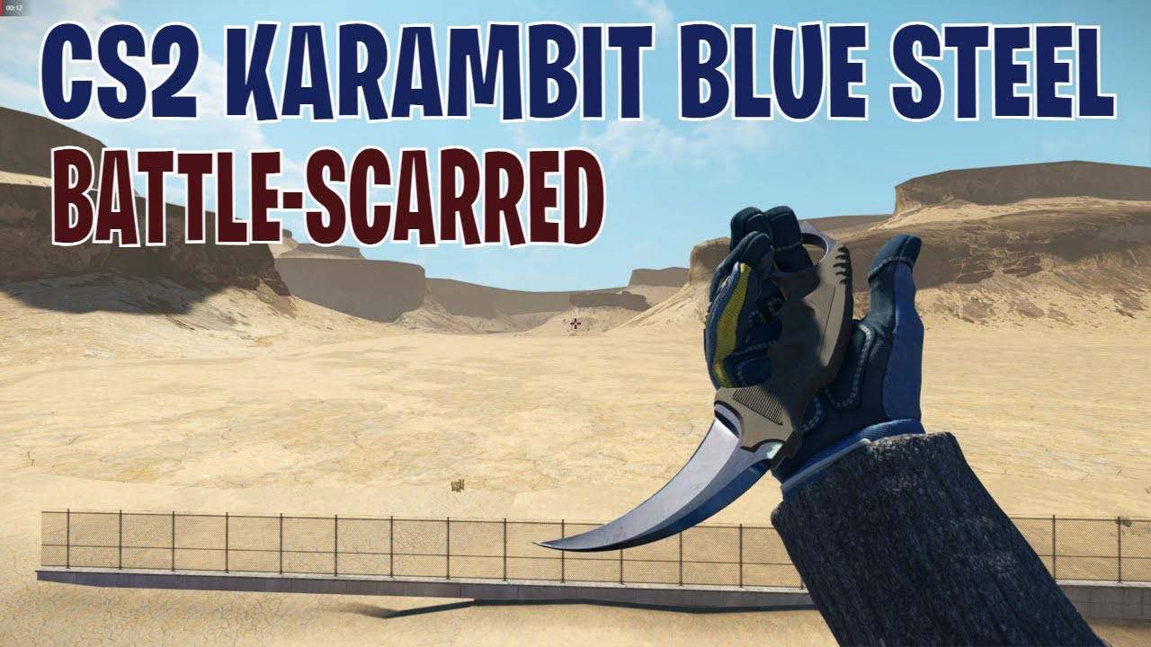 Karambit Blue Steel (Battle-Scarred) | CS2 Skin Showcase #310 - YouTube
