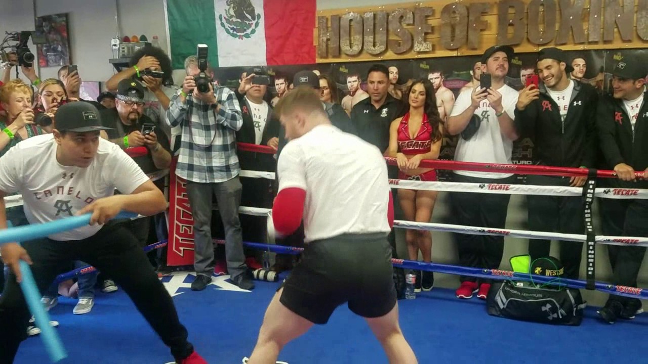 Canelo Working on Reflex & Defense - Media Day - YouTube
