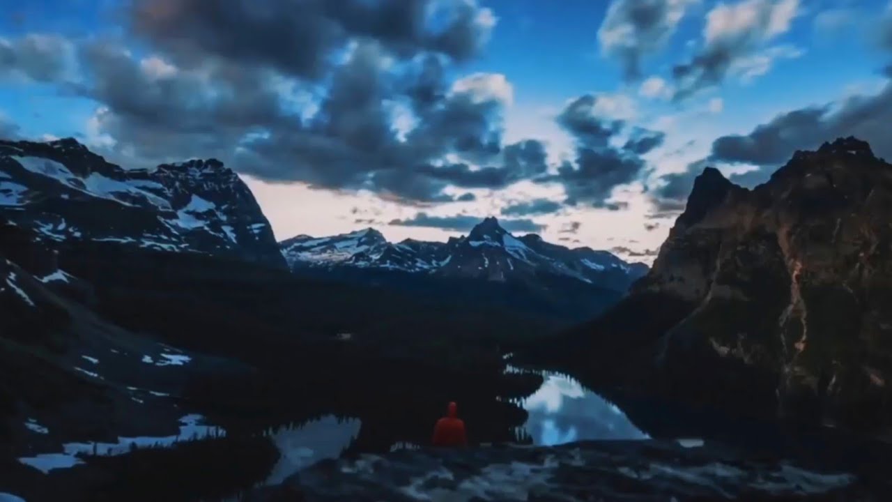 Alan Walker, K-391 & Emelie Hollow - Lily Song Lyrics Status - YouTube