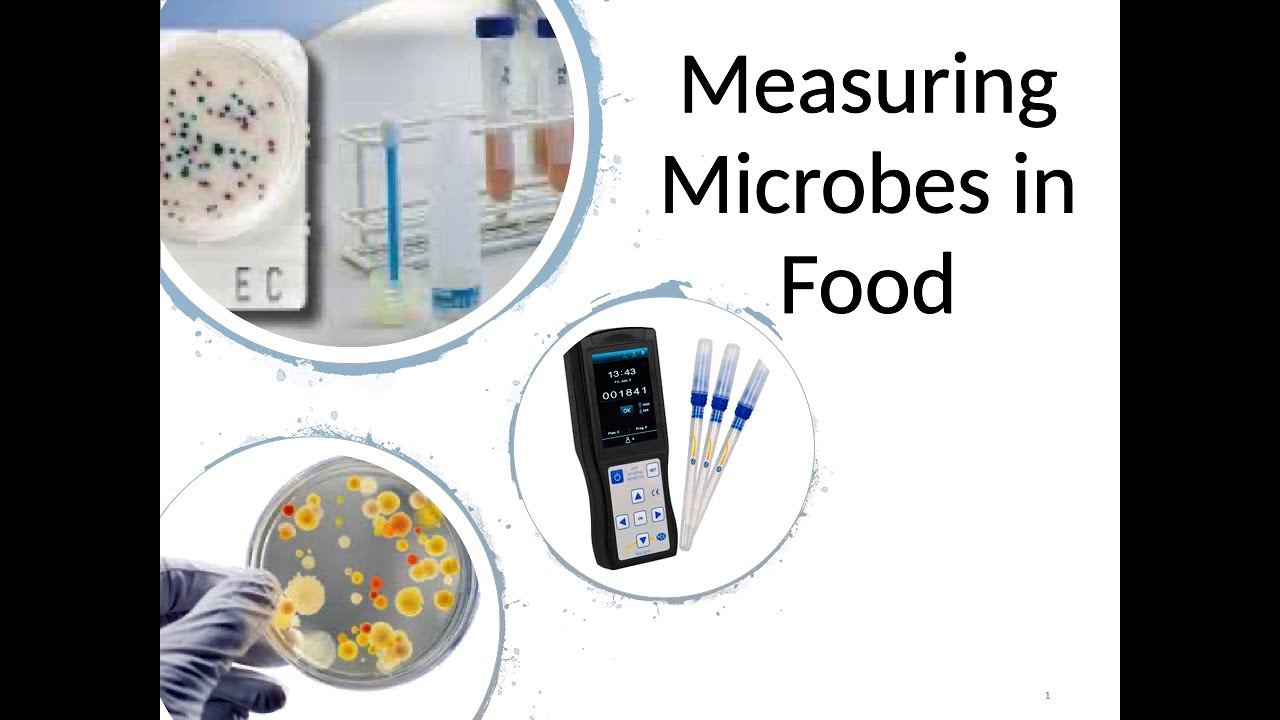 Measuring Microbes in Food - YouTube