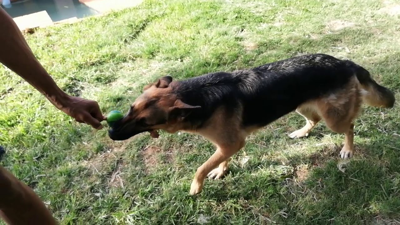 Gsd play time - YouTube