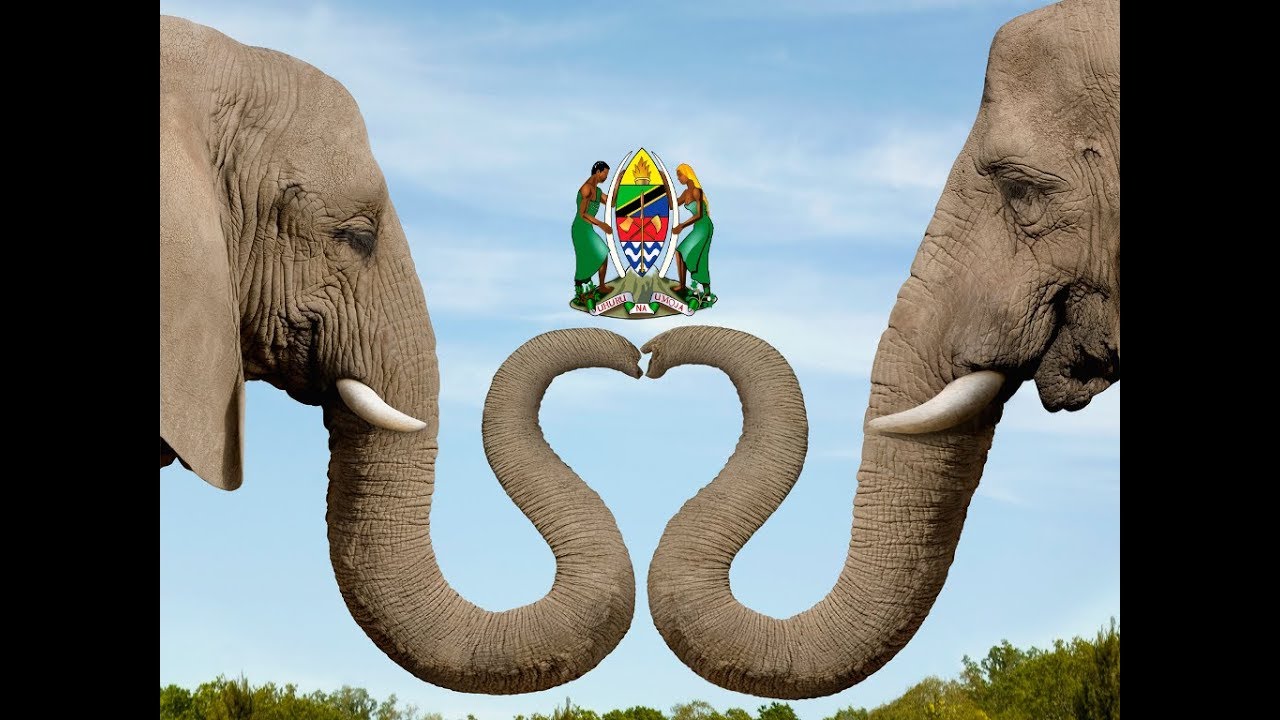 MAKALA MAALUM YA WIZARA YA MALIASILI NA UTALII - YouTube