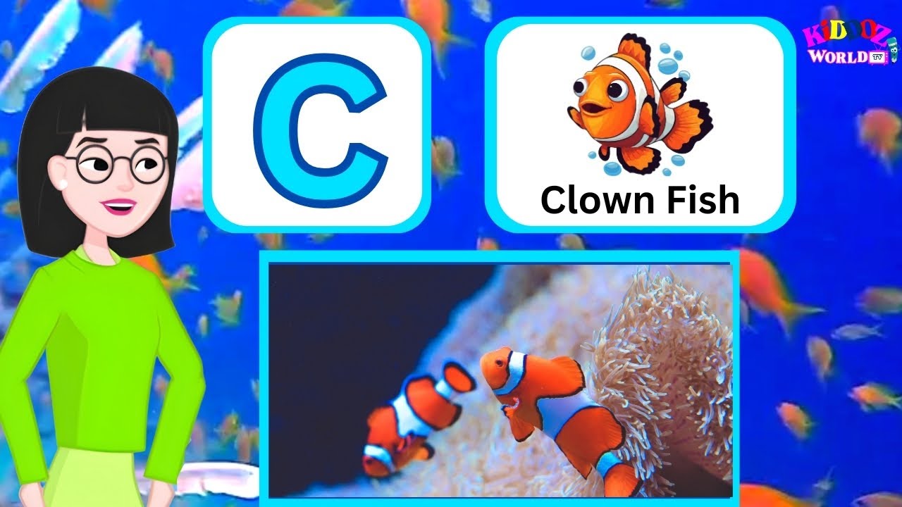 A To Z Sea Animals Names | Learn Sea Creatures | learn Alphabet ...