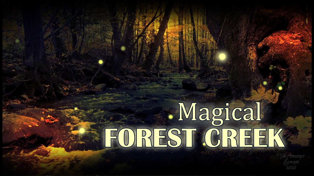 MAGICAL FOREST CREEK. Autumn Creek Sounds. Fantasy Audio Ambience ...