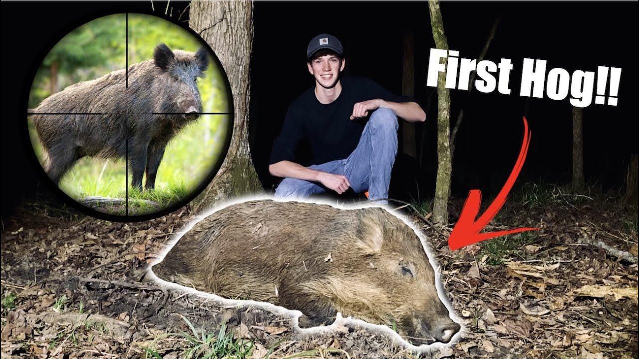 First Ever Hog Hunt!! (Land Management) - YouTube