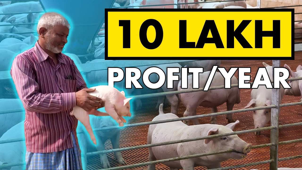 Farmers Success Story | Integrated PIG - FISH and TRADITIONAL CROPS ...