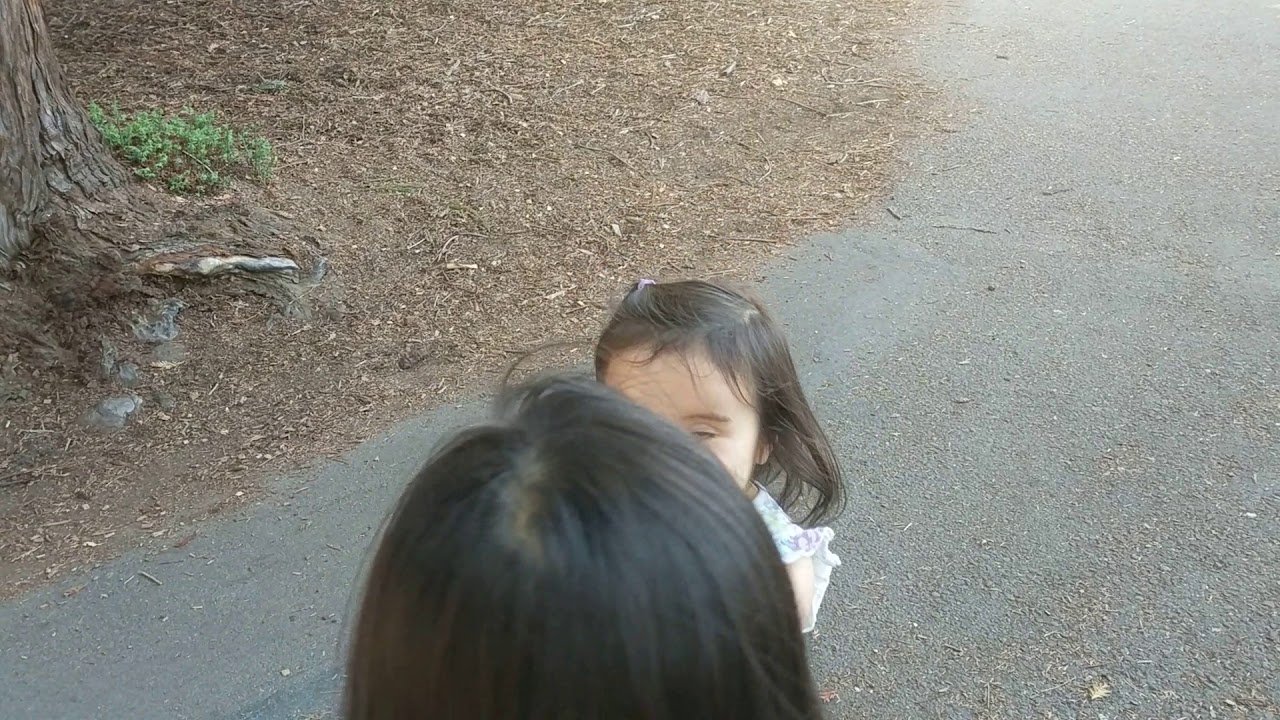 Gotta Go Pee 1 YouTube gotta-go-pee-1-youtube