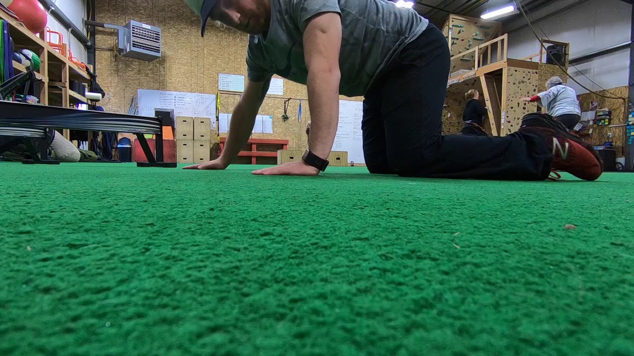 Gator Push Up - YouTube